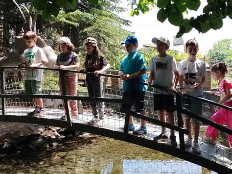 კერძო სკოლა კერძო სკოლა ჰელიოსი Private School Helios