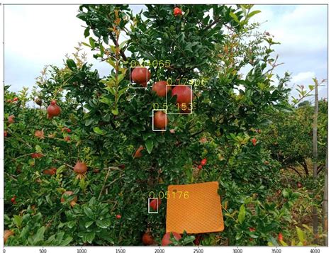 Machine Learning Object Detection Model Using Images Which Have