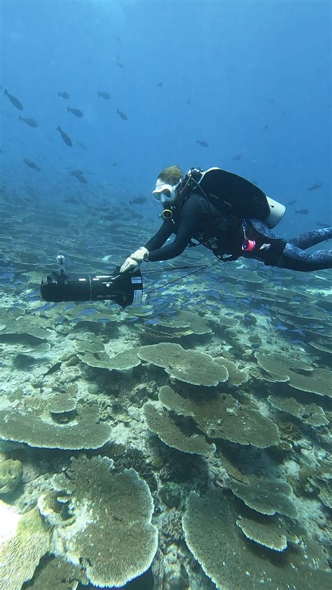 Can Life Get Any Better When All You Get To Do Is Dive Every Day R