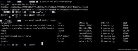 docker备份容器到本地（以及恢复） zerotermux github csdn博客