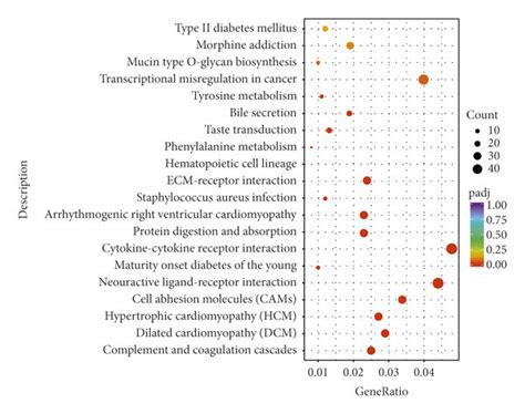 A Go Analysis Revealed The Top 10 Significantly Enriched Terms Of The Download Scientific