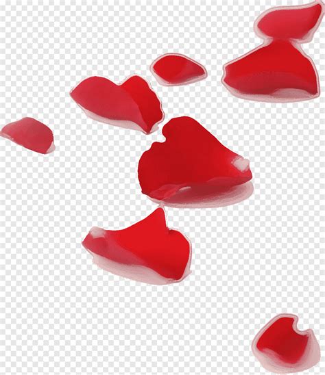 الثلاثة عشر بتلات ورد يهودية تلمود ، يهودية القلب الدين Png