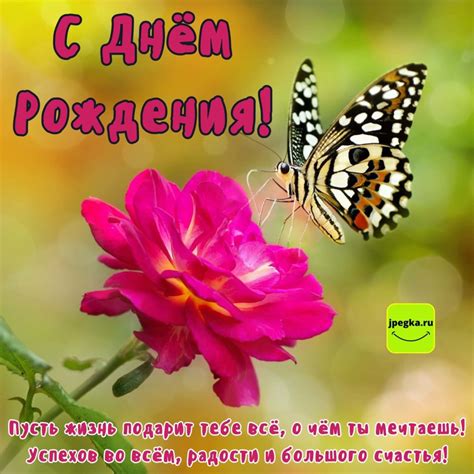Открытки с Днём Рождения с бабочками 36 картинок