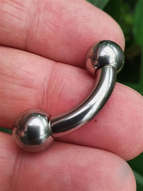 Prince Albert Piercing Body Jewelry At Humberto Watts Blog