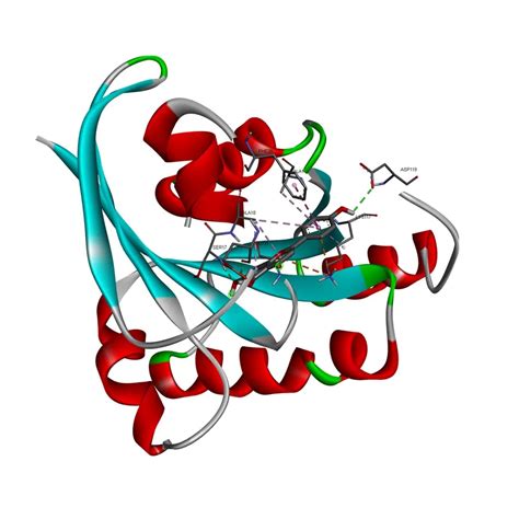 Services Dawn Of Bioinformatics Bioinformatics Services Genomics Proteomics Rnaseq