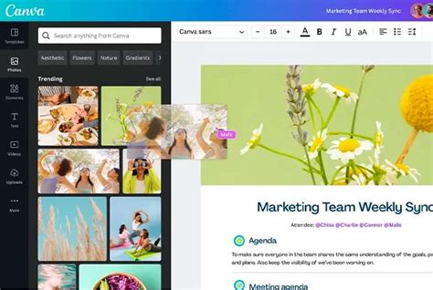 11 Best Free Desktop Publishing Software For Mac And Windows