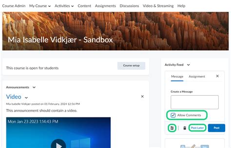 Dtu Learn Support Using The Activity Feed Widget