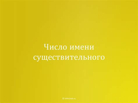 Число имени существительного презентация онлайн