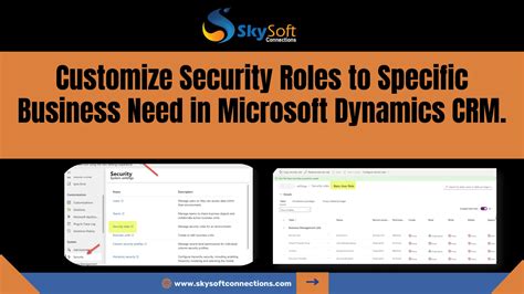 Customize Security Roles To Specific Business Need In Crm Sky Soft Connections
