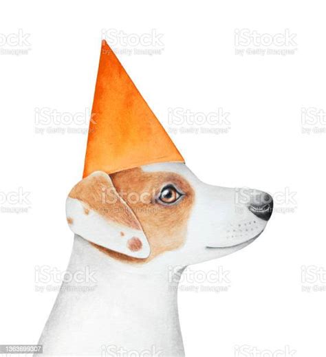 귀여운 작은 잭 러셀 테리어 강아지가 오렌지 파티 모자를 들고 위를 바라보고 있습니다 감귤에 대한 스톡 벡터 아트 및 기타 이미지 감귤 10월 감사 Istock