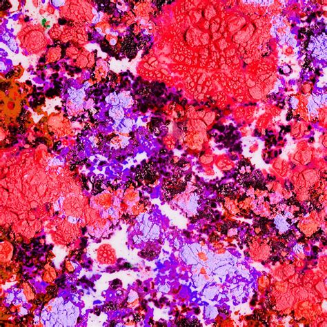 Building Ai Powered Apps With Flutter And Chatgpt