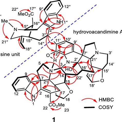 Selected 2D NMR Correlations For 1 Download Scientific Diagram