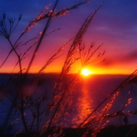 Bine Bethina Backer On Linkedin Fotobinebethinabacker