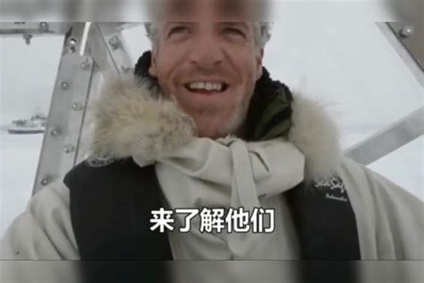 摄像师碰到凶猛的北极熊会安然无恙吗？北极熊摄像师
