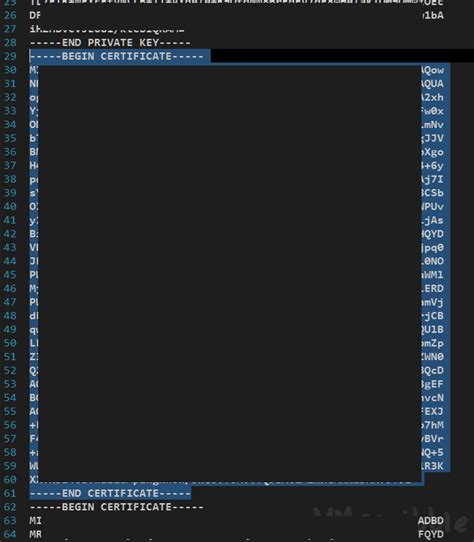 Vrealize Log Insight 36 Replace Ssl Certificate With Ca Chain And