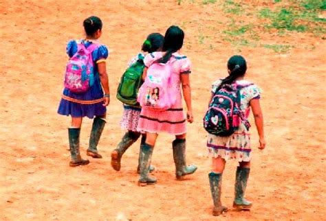Polémica Por Traslado De Eps De 19000 Indígenas De Antioquia Dicen