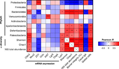 Correlation Analysis Between Gut Microbial Phyla Alpha Diversity Download Scientific Diagram