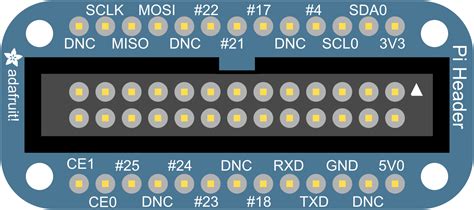 How To Use Adafruit 26 Pin Pi Cobbler Pinouts Specs And Examples Cirkit Designer