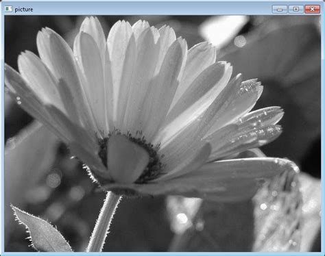 C Opencv With Cuda Very Clear Error Message But Unable To Figure