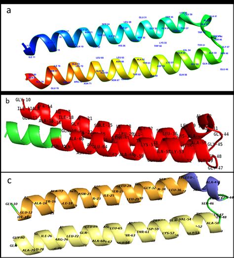 Structure Of Esx 1 PDB 3FAV A Single Chain Of Esx 1 With Detailed Download Scientific