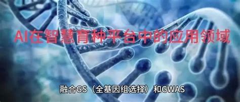 天丰智慧 新闻中心