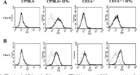 Figure 1 From The Role Of The Mhc Class Ii Transactivator In Class Ii Expression And Antigen