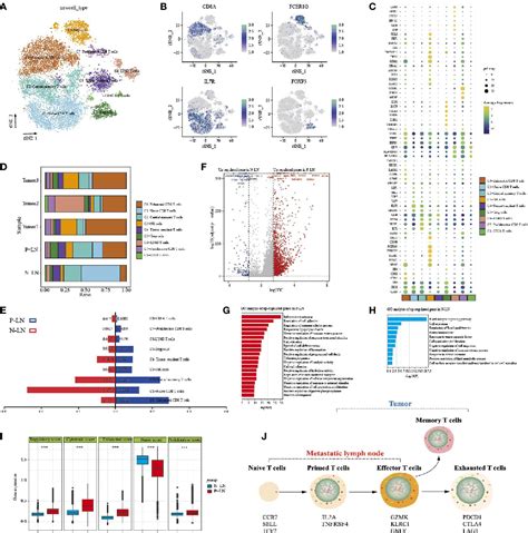 Figure 3 From Integrated Single Cell Transcriptome Analysis Of The