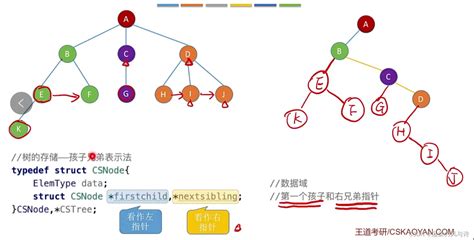 王道数据结构第五章：树与二叉树 王道树与二叉树 csdn博客