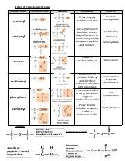 2 Table Of Functional Groups Pdf Table Of Functional Groups Name Of Group Chemical Course Hero