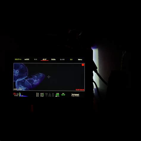 darkmode ios 13 behance