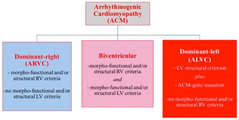 Pathogenesis Diagnosis And Risk Stratification In Arrhythmogenic Cardiomyopathy