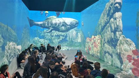 Екскурзија виших разреда Основна школа Стеван Книћанин