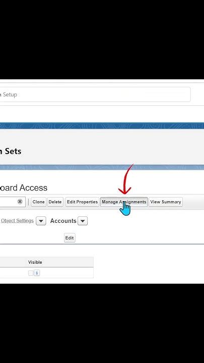 How To Create Permission Sets In Salesforce Part2 Screenrecorder