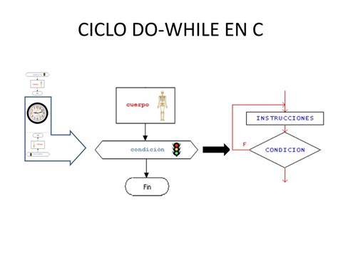 Ppt Ciclos En C Parte 3 Powerpoint Presentation Free Download Id