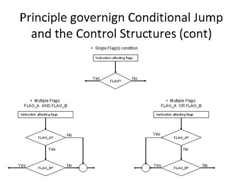 Program Flow Instructions General Introduction Program Flow Instructions