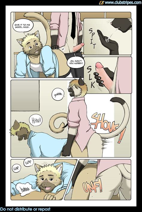 rule 34 anal anal sex clubstripes comic english text feline furry gay