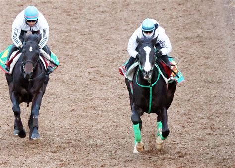 【阪神jf 調教ズームイン】インフィナイト坂路で51秒9 北村友騎手「前走よりいい」 スポーツ報知