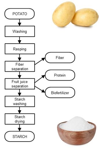 State Of The Art Potato Starch Plant Relies On Sulzers Degassing