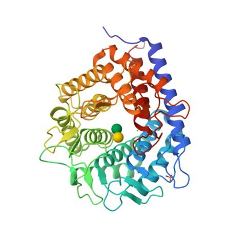 Rcsb Pdb 3wkh Crystal Structure Of Cellobiose 2 Epimerase In Complex