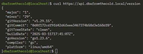 Accessing The Kubernetes Api From Sql Server 2025 Dba From The Cold