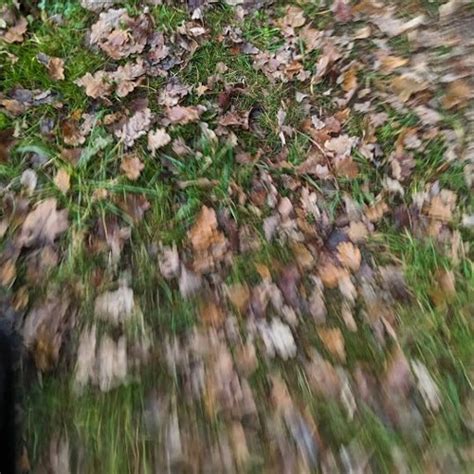 Stream Grass By Acid Apostle Listen Online For Free On Soundcloud