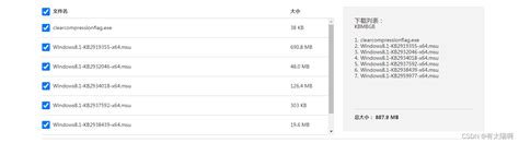 windows server 2012 r2安装 “vc redist x64 exe“ 报错 0x80240017未指定错误