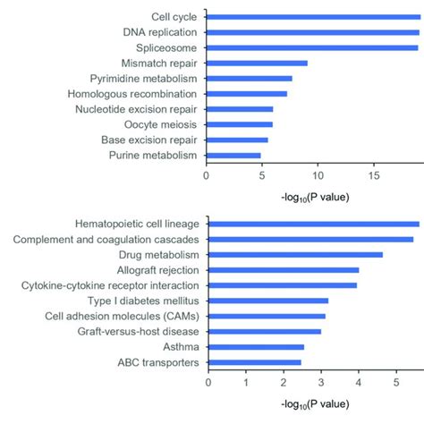 Validation Of Molecular Subtypes Of Eac In The Gse32507 Cohort