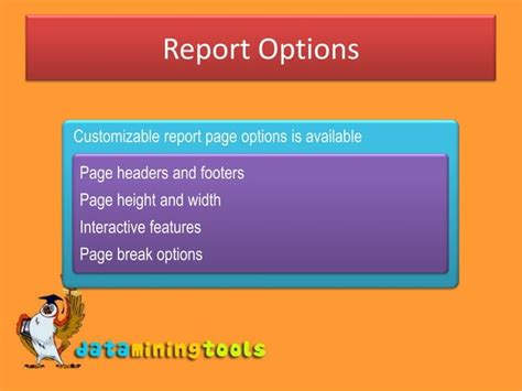 Ms Sql Server Reporting Basics Pptx