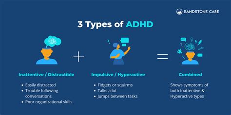 Different Types Of ADHD In Adults ADHDtest Ai