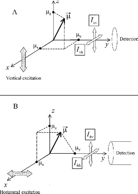 Figure 1 From High Sensitivity Fluorescence Anisotropy Detection Of
