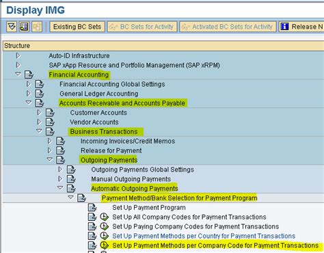 SAP FICO MODULE LEARNING Set Up Payment Methods Per Company Code For Payment Transactions