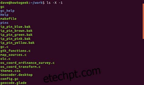 Domine O Comando `ls` No Linux Guia Completo Com Truques E Dicas