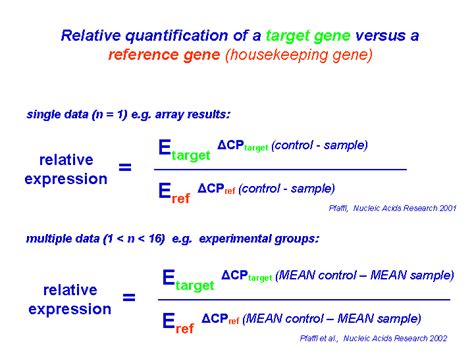 Gene Quantification And Real Time Pcr Quantification Strategy