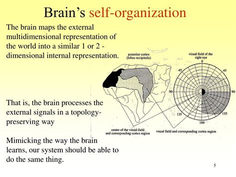 Ppt Self Organized Map Som Neural Network Powerpoint Presentation Free Download Id5714551